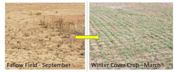 Soil Health – Taos SWCD